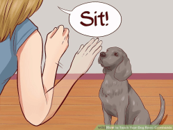 A Beginner’s Guide to RISC and CISC Architectures – Soham Chatterjee